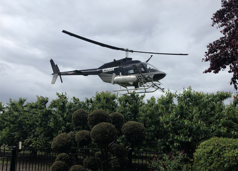 Low Flying Helicopters Used to Blow Rain Off Cherry Trees