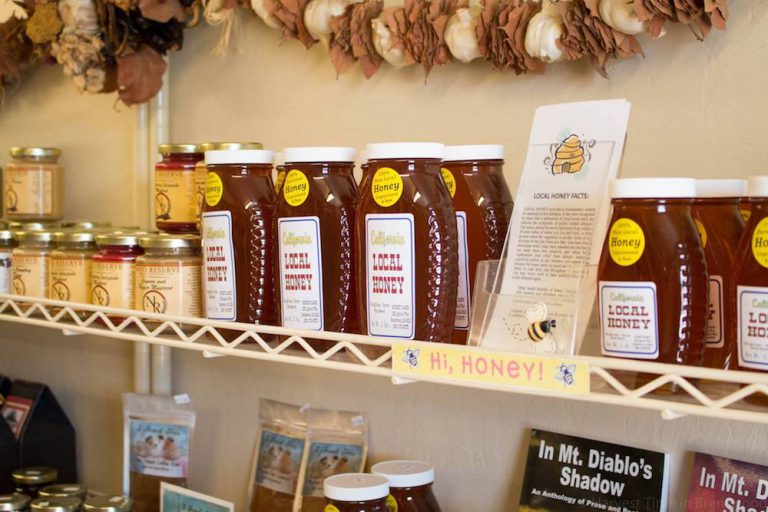 The Benefits of Eating Local Honey - Harvest Time in Brentwood